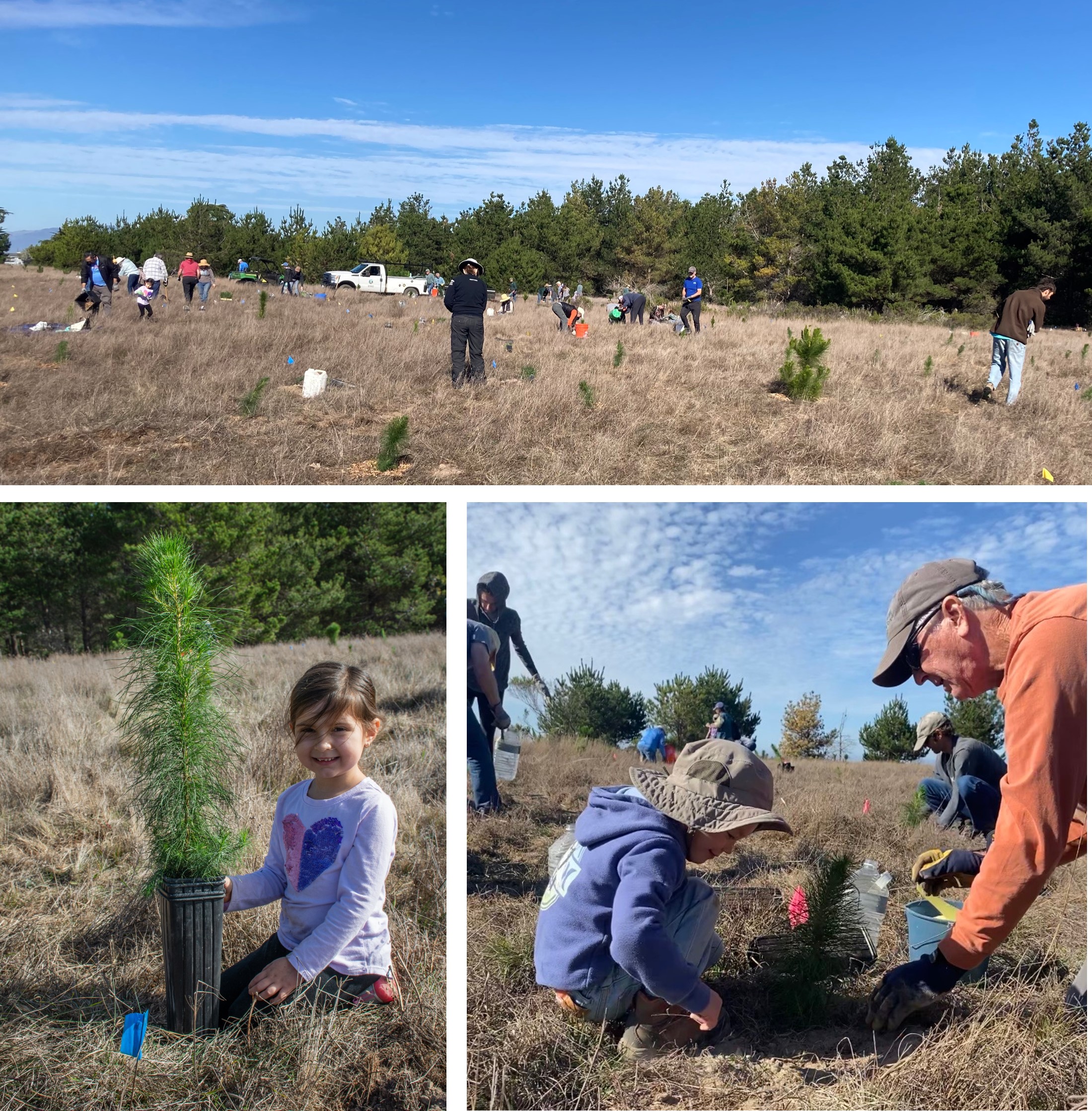 2022.12.02 | FFRP Brings Good News about More Butterflies, More Trees ...