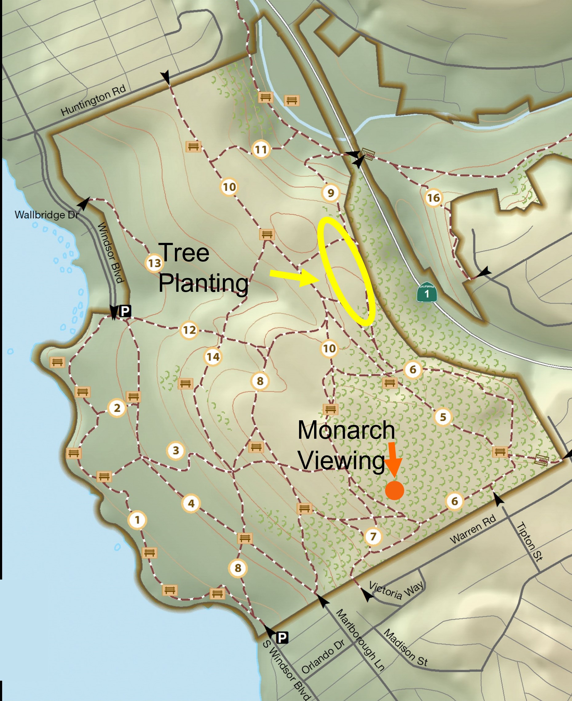 2022.12.02 | FFRP Brings Good News about More Butterflies, More Trees ...