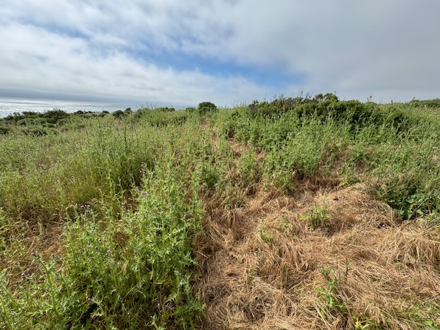 2024.06.06 | Annual Spraying on Fiscalini Ranch Preserve | Friends of ...